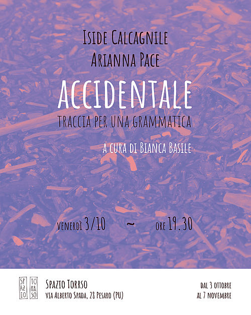 Comune di Pesaro : ACCIDENTALE. Traccia per una grammatica